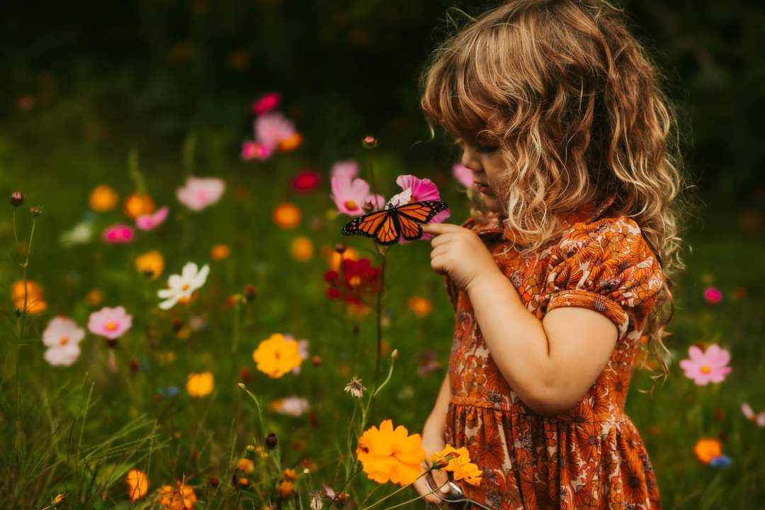 Kate Quinn Essentials – kate quinn